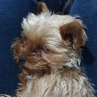 Benjamin Arturo Varela Morales · GitLab